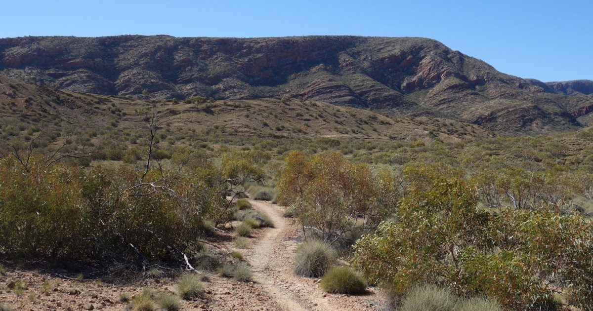 Australian Hiker | Trail/Track
