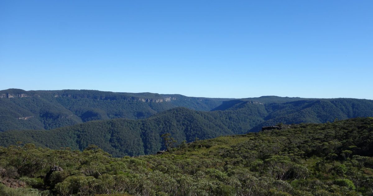 Australian Hiker | Mount Bushwalker NSW (7.4 km)