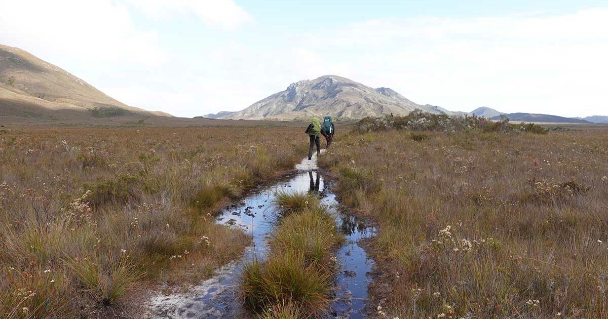 Australian Hiker | Braided Trail