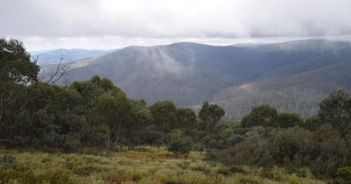 Australian Hiker | Mount Franklin ACT (3.6 km)
