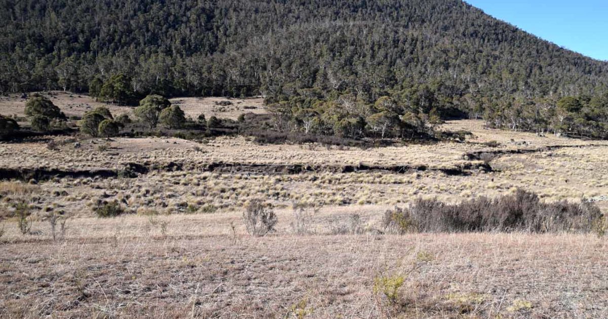 Australian Hiker | Orroral Valley Circuit ACT (18.7 km)