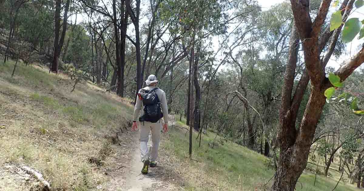 Australian Hiker | The Health Benefits of Hiking