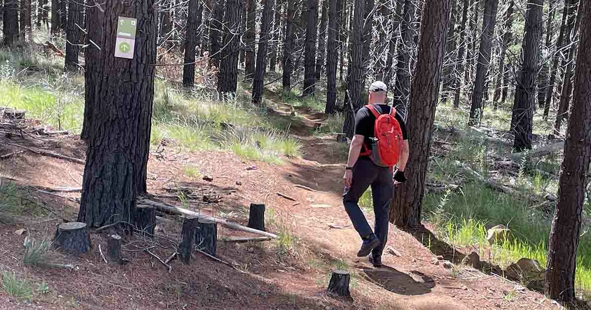 Australian Hiker | Green Loop Trail ACT (5.2km)