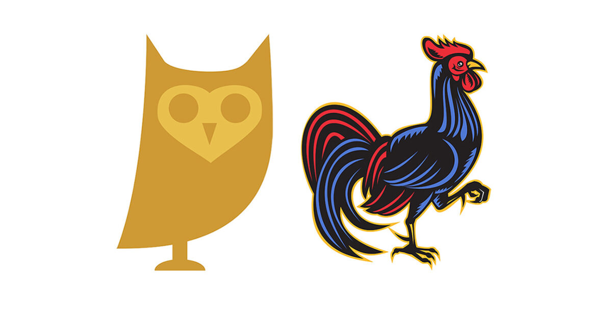 Australian Hiker | Night owl, rooster or both?