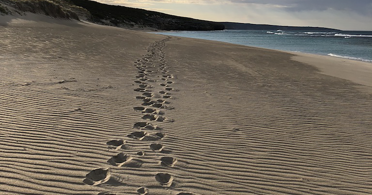 Australian Hiker | Beach hiking