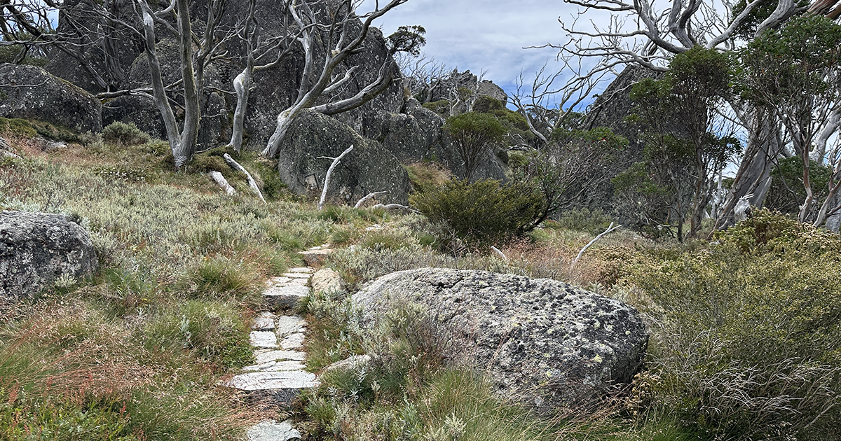 Australian Hiker | Snowies Alpine Walk NSW (56km)